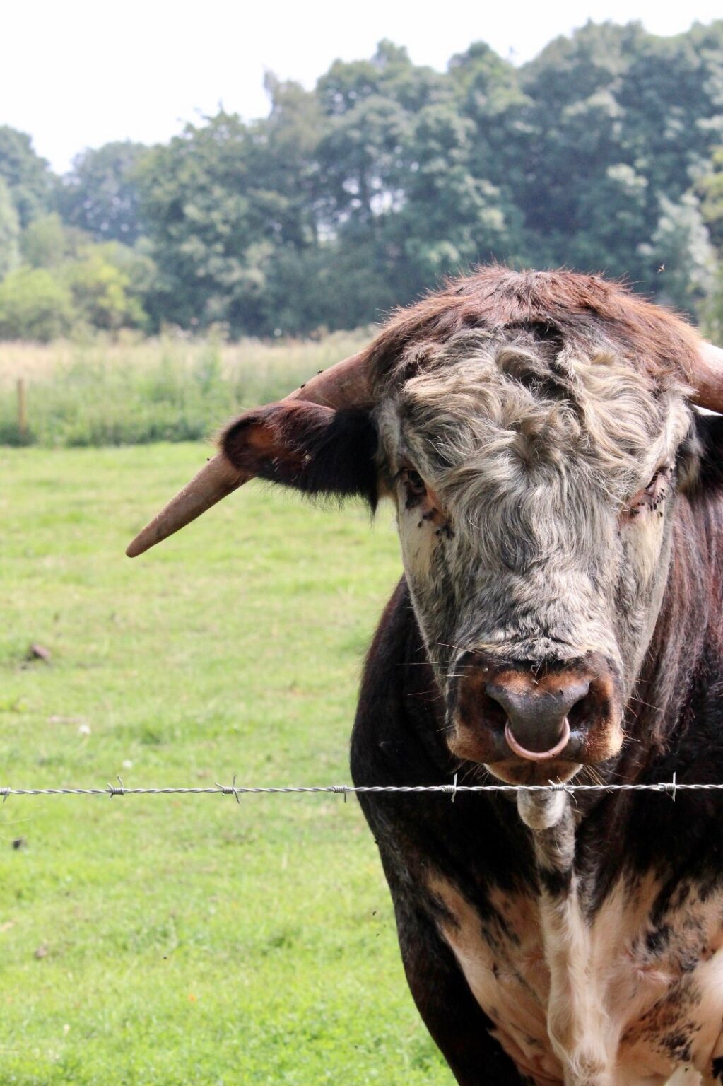 Our Produce - Winterton Butchers
